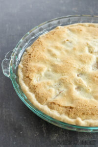 Custard Fruit Pie Recipe (Easy Recipe & Tips) | Baking Me Hungry