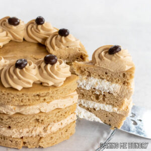 Cappuccino Cake Recipe with Coffee Mousse Frosting