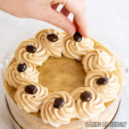 Cappuccino Cake Recipe with Coffee Mousse Frosting