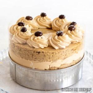 Cappuccino Cake Recipe with Coffee Mousse Frosting