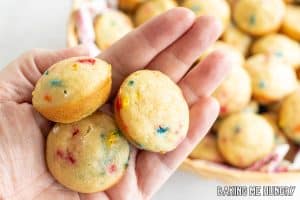 Little Bites Muffin Recipe | Easy Copycat Mini Muffins