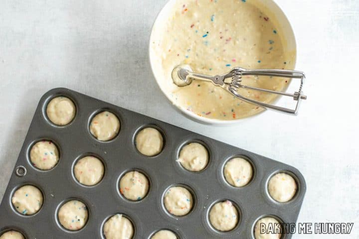 Little Bites Muffin Recipe | Easy Copycat Mini Muffins