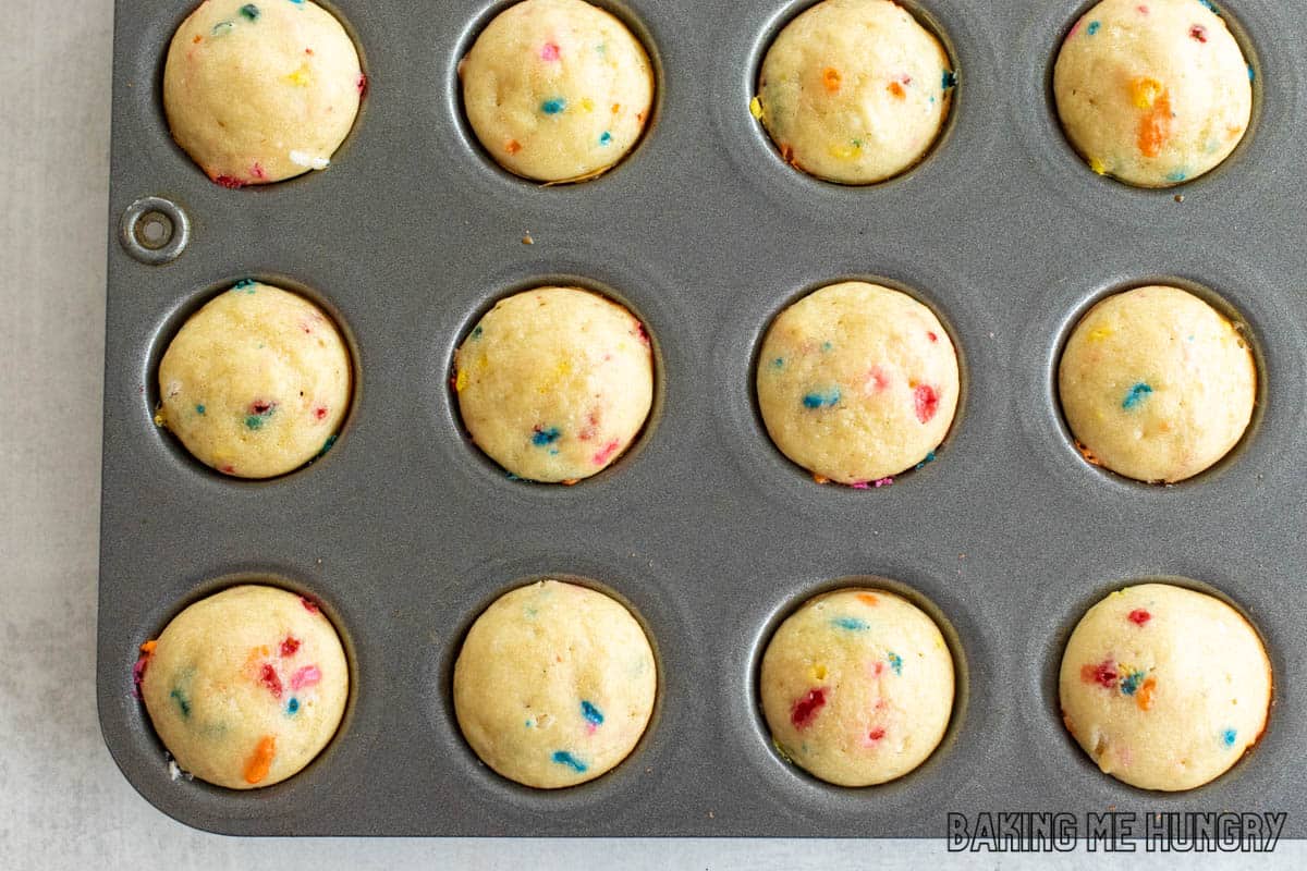 Little Bites Muffin Recipe | Easy Copycat Mini Muffins