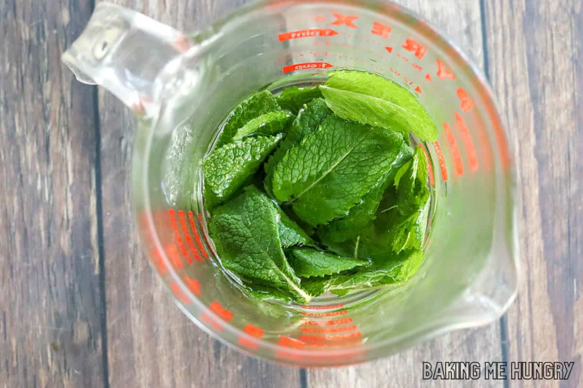 Mint Lemonade Recipe | Best Refreshing Summer Drink!