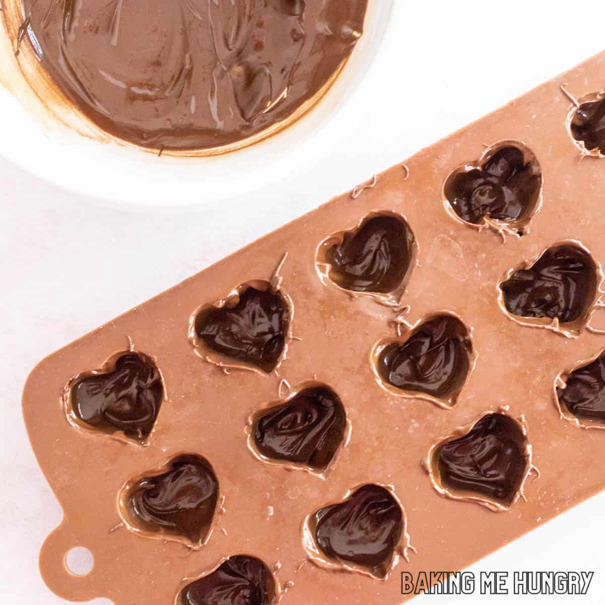Strawberry Chocolate Candies with Fresh Strawberries