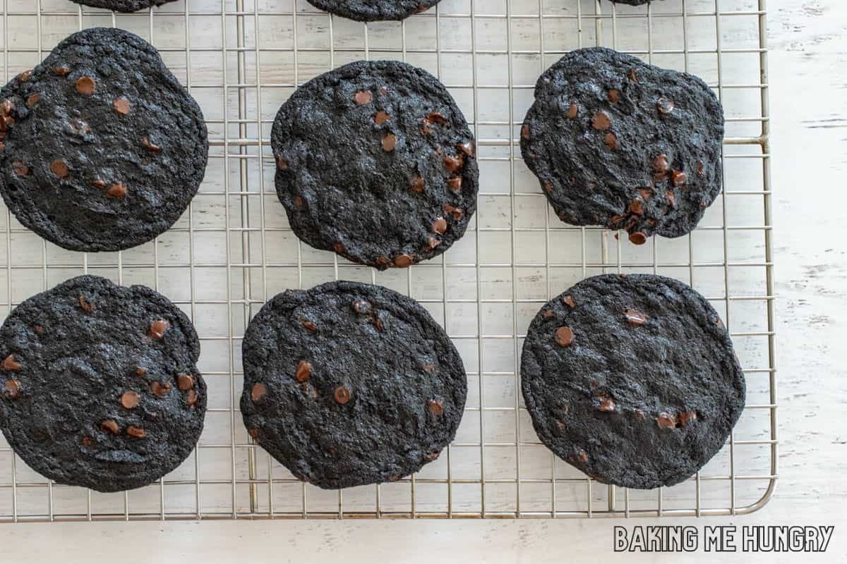 Black Cocoa Cookies Recipe with Chocolate Chips