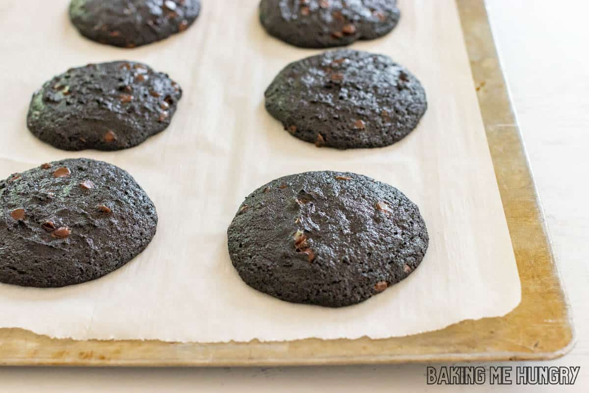 Black Cocoa Cookies Recipe with Chocolate Chips