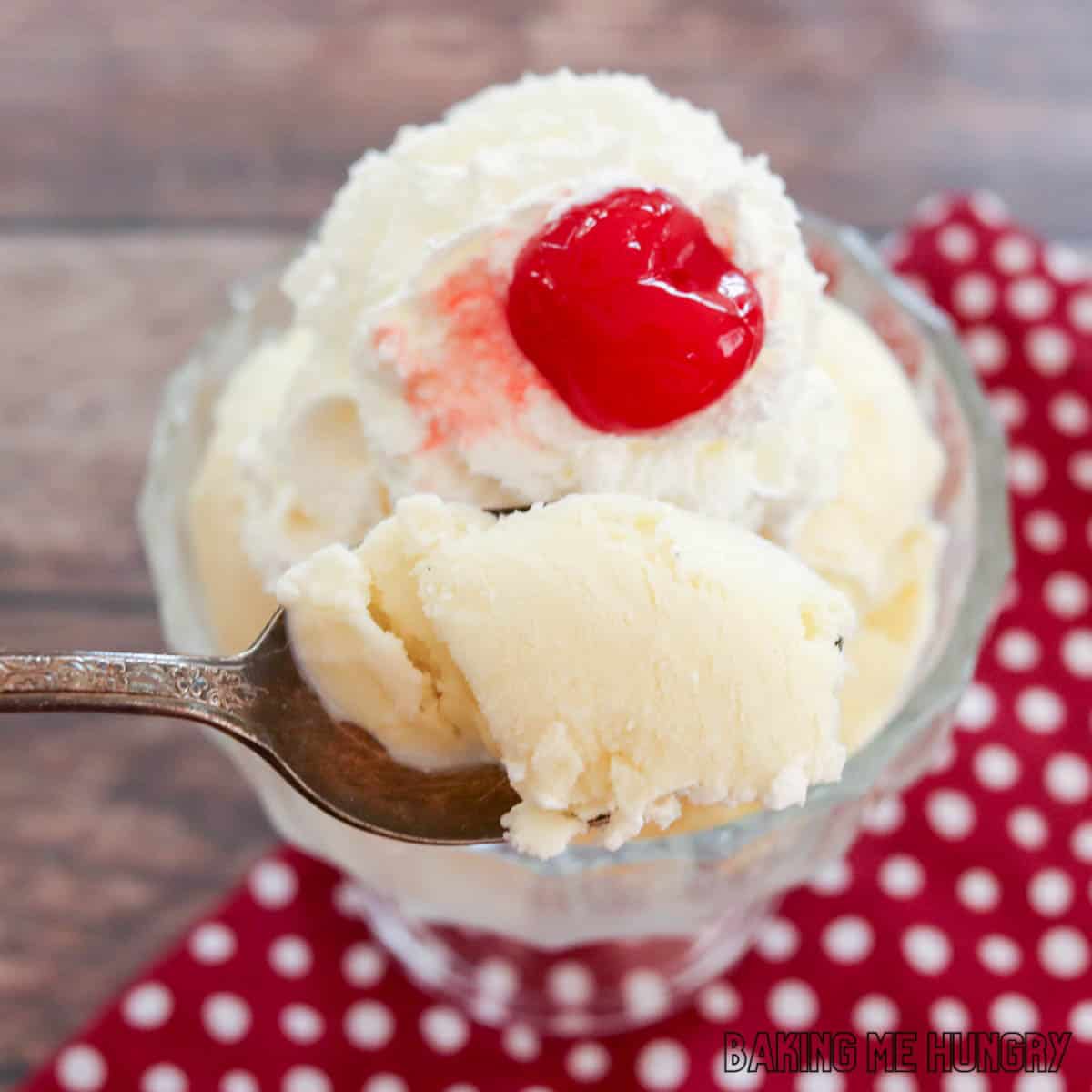 Ice Cream Recipe without Cream Easy 4-Ingredient Recipe