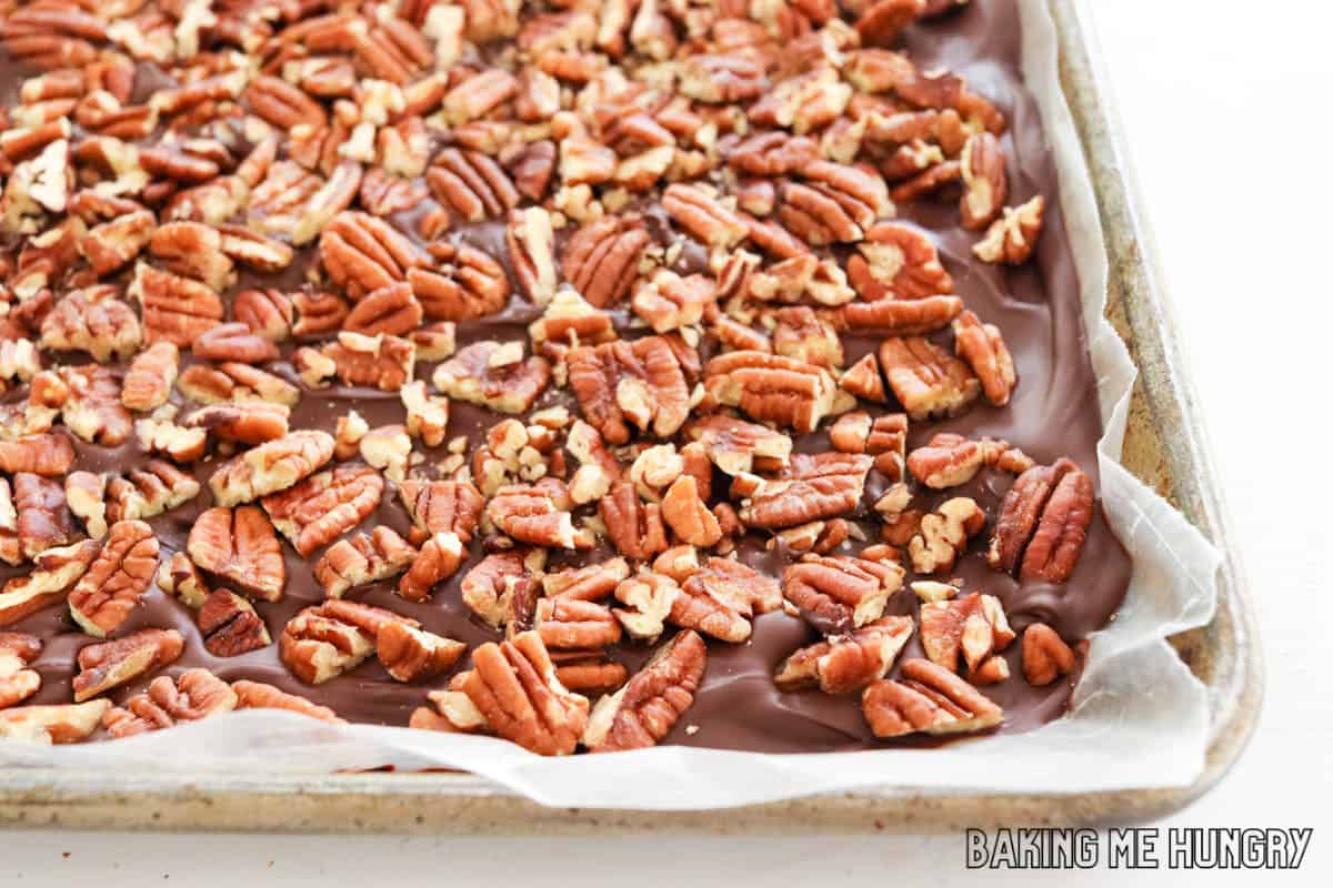 Pecan Bark Recipe with Dark Chocolate | Quick & Easy!