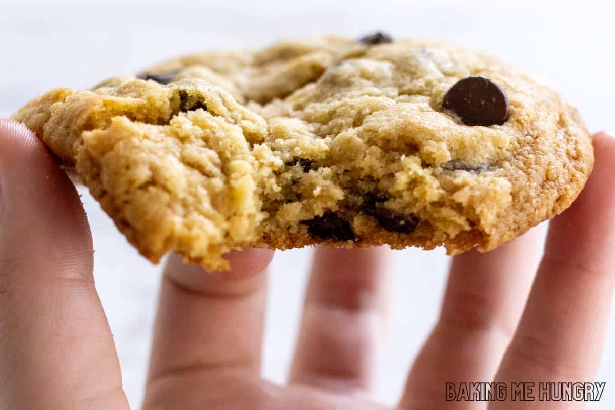 Single Serve Chocolate Chip Cookie Recipe for One