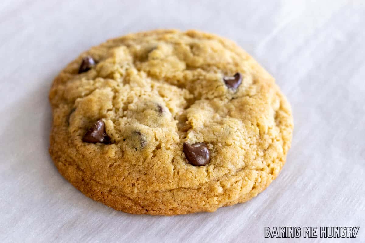 Single Serve Chocolate Chip Cookie Recipe for One