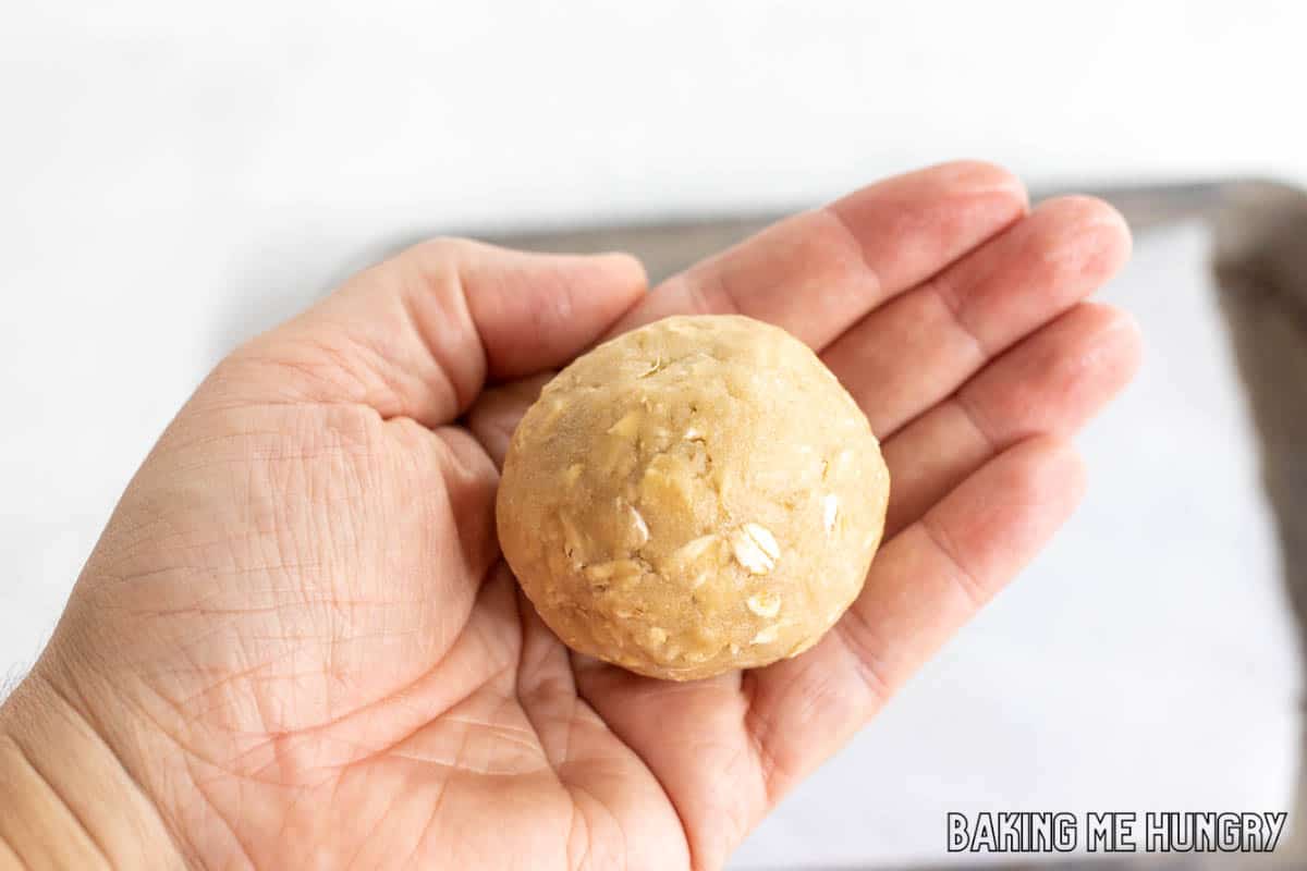 Best Single Serve Oatmeal Cookie Recipe for One