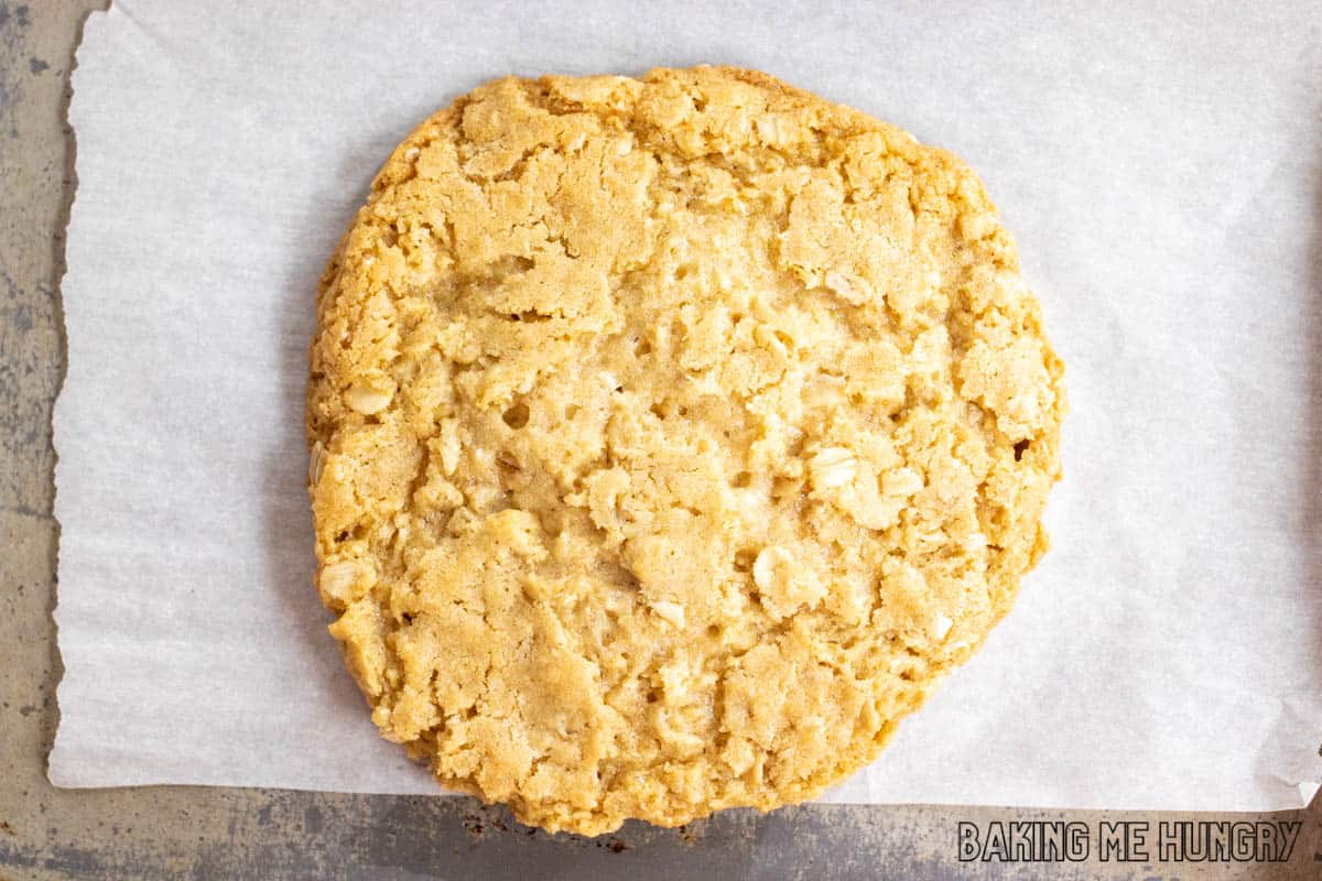Best Single Serve Oatmeal Cookie Recipe for One