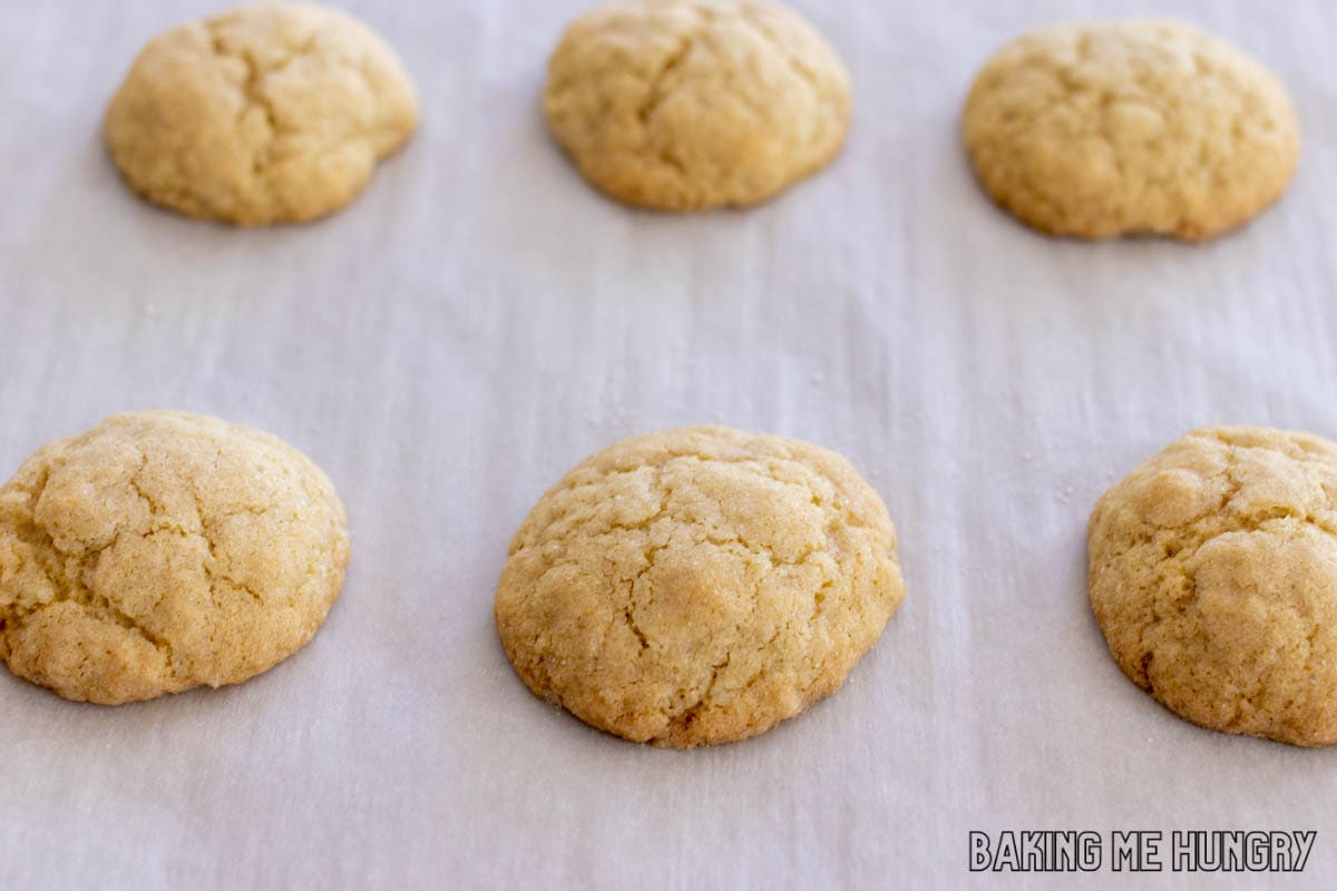 Small Batch Sugar Cookie Recipe | Makes 8 Chewy Cookies